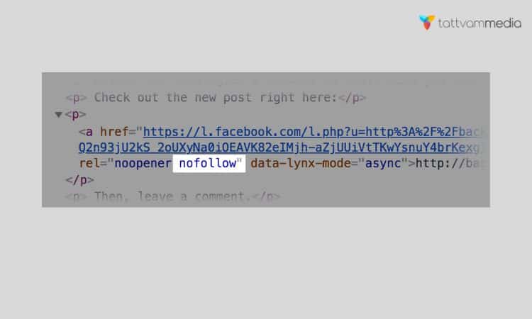 What Are the Different Types of Links - Tattvam Media