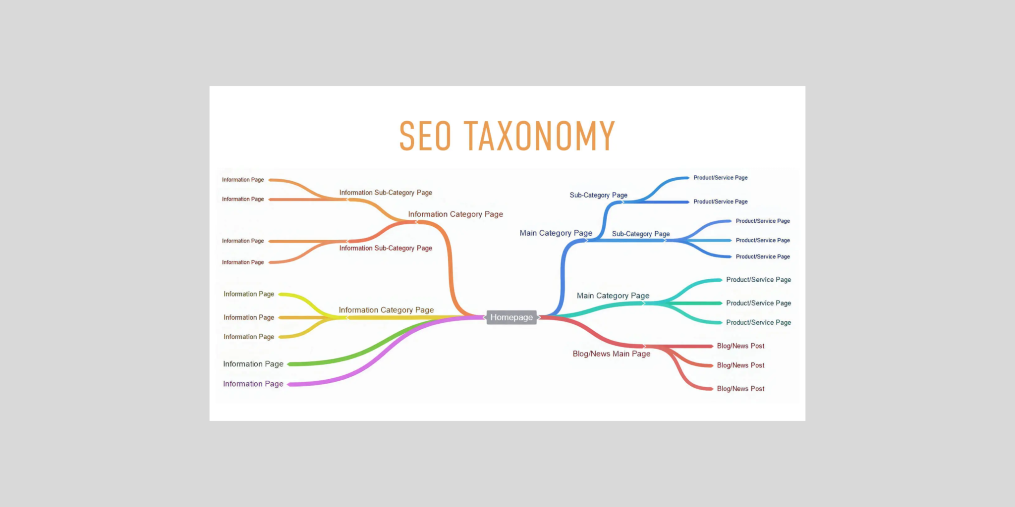 Everything You Need to Know About SEO Taxonomy