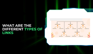 What Are the Different Types of Links - Tattvam Media