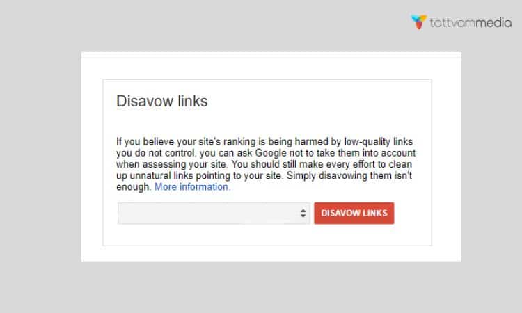 What is Disavowing? How to Disavow Links for Better SEO