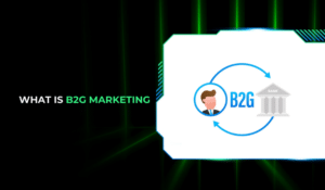 What Is B2G Marketing and How Does It Work? - Tattvam Media
